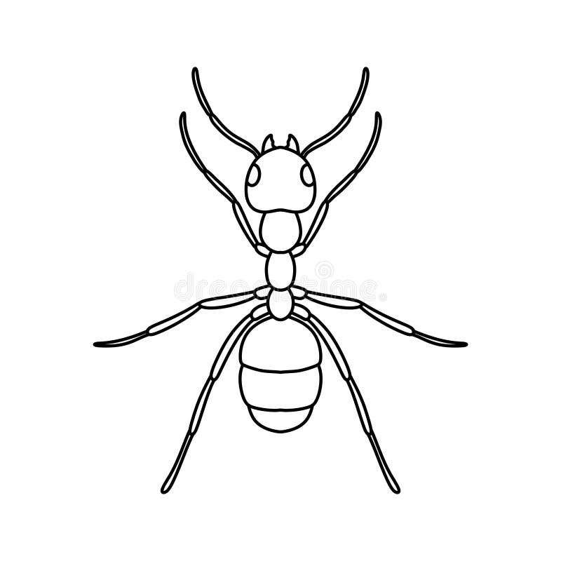 Ant Outline Icon Vector Illustration Isolated on White Background Stock ...