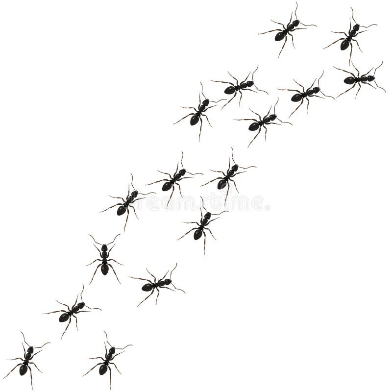 Ants Stock Illustrations – 11,254 Ants Stock Illustrations, Vectors ...
