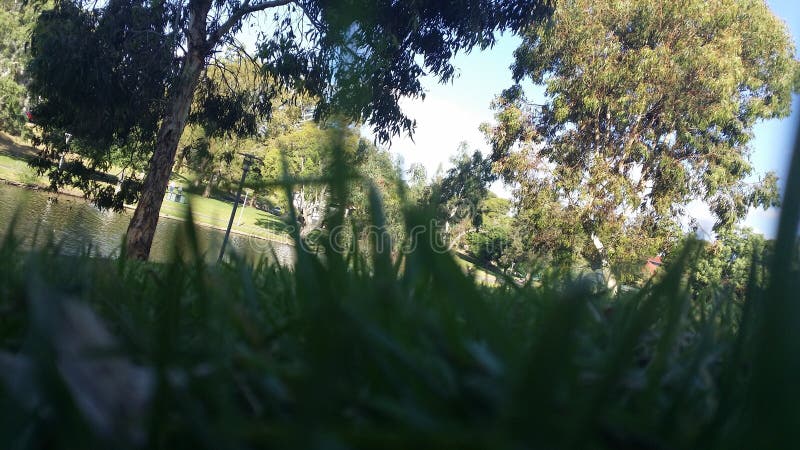 210 Perspective Ant Stock Photos - Free & Royalty-Free Stock Photos ...