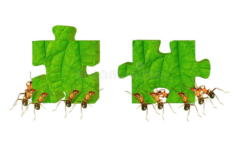 Ant puzzle stock image. Image of join, mobile, idea, icon - 28174317