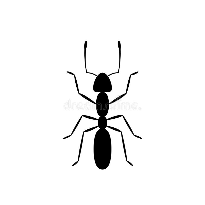 Ant Top View Stock Illustrations – 343 Ant Top View Stock Illustrations ...