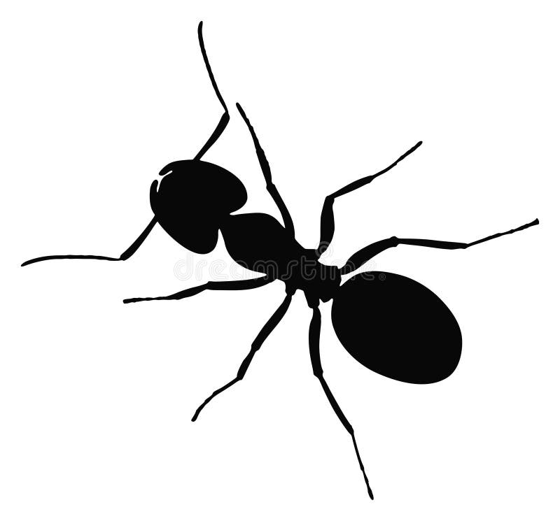 Ant silhouette top view stock vector. Illustration of clip - 100889496