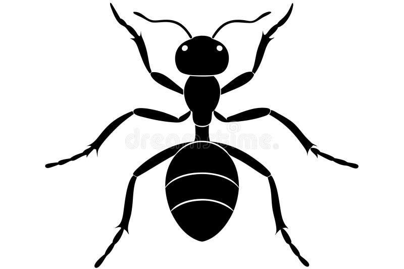Ant Silhouette Vector Illustration Stock Illustration - Illustration of ...