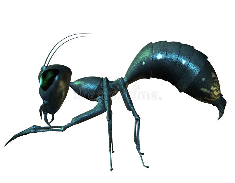 Side view of an ant stock illustration. Illustration of view - 20881271