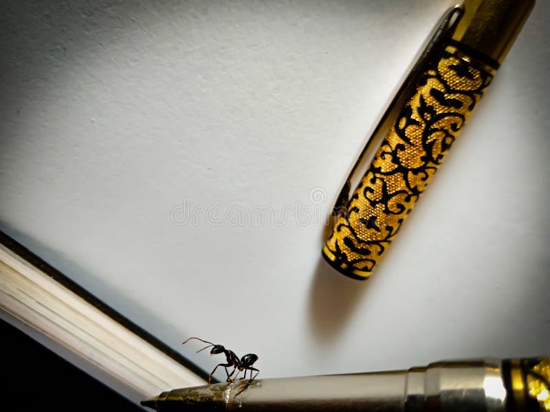 An Ant Standing Up on Pen Pointer for Writing Concept Stock Photo ...