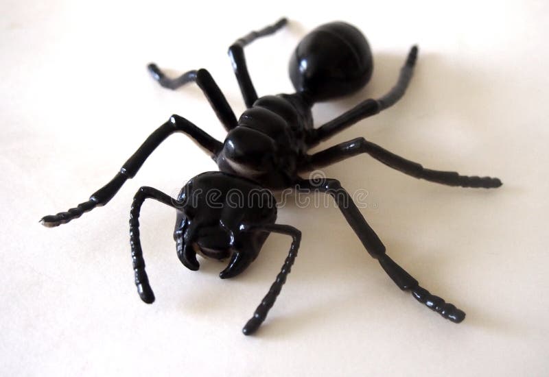 Ant, Toy on White Background Stock Photo - Image of emmet, game: 51712622