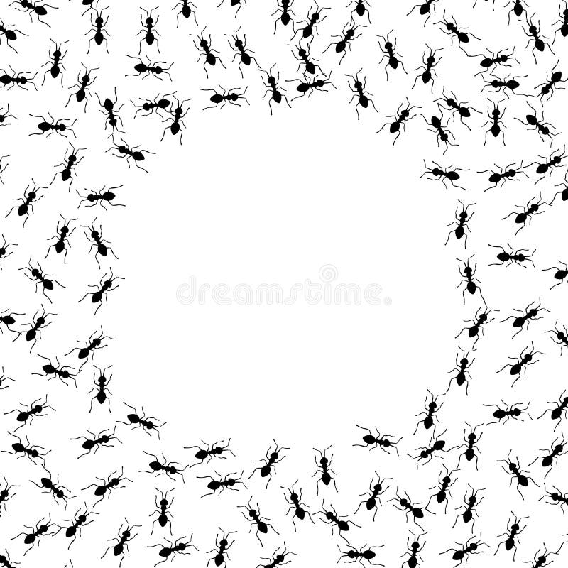 Ant Trail Background. Ants Colony Teamwork Concept. Insect Group ...