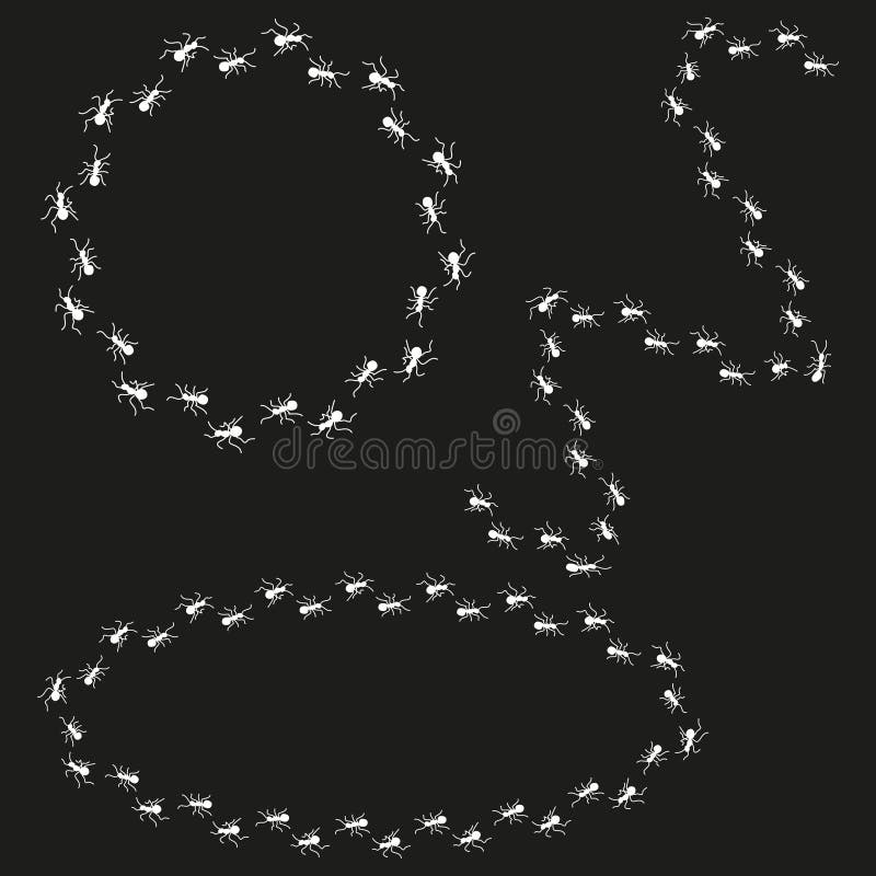 Ant Trail Pattern. Circular Ant Formation. Black Insect Shapes ...
