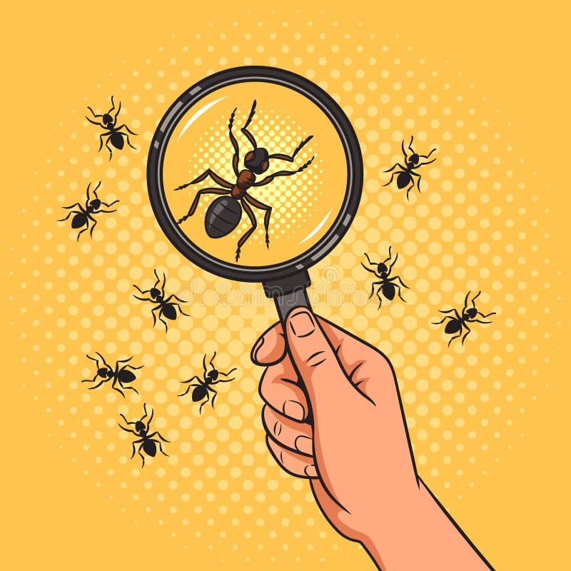 Insect Under Magnifying Glass Stock Illustrations – 107 Insect Under ...