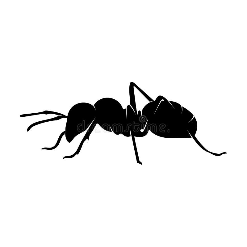 Ant Vector Design Logo. Ant Illustration with Various Shapes and ...