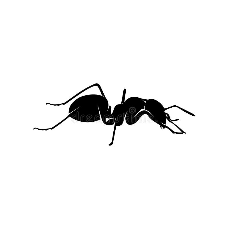 Ant Vector Design Logo. Ant Illustration with Various Shapes and ...