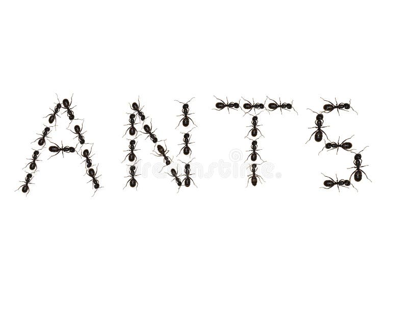 Mechanic tools word stock photo. Image of head, iron - 20055184