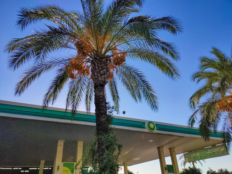 Antalya, Turkey - May 11, 2021: BP Petrol Station at Antalya, Turkey ...