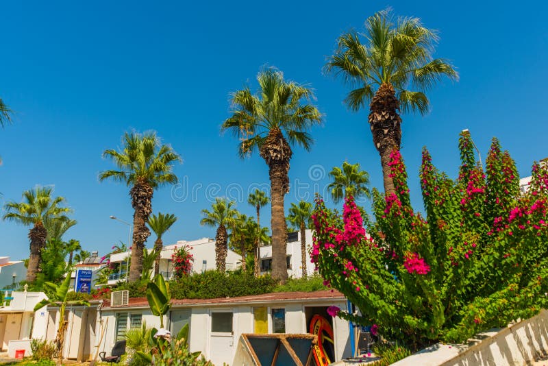 ANTALYA, TURKEY: the Promenade on the Lara Beach in Antalya Editorial ...