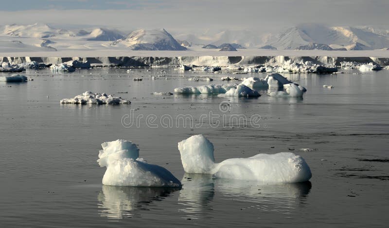 Antarctic beauty stock photo. Image of antarctic, reflection - 2624646