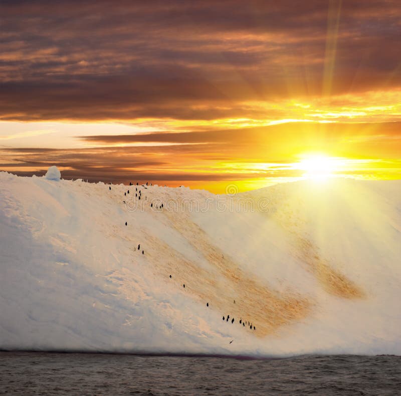 Antarctic ice island stock photo. Image of nature, island - 14601478
