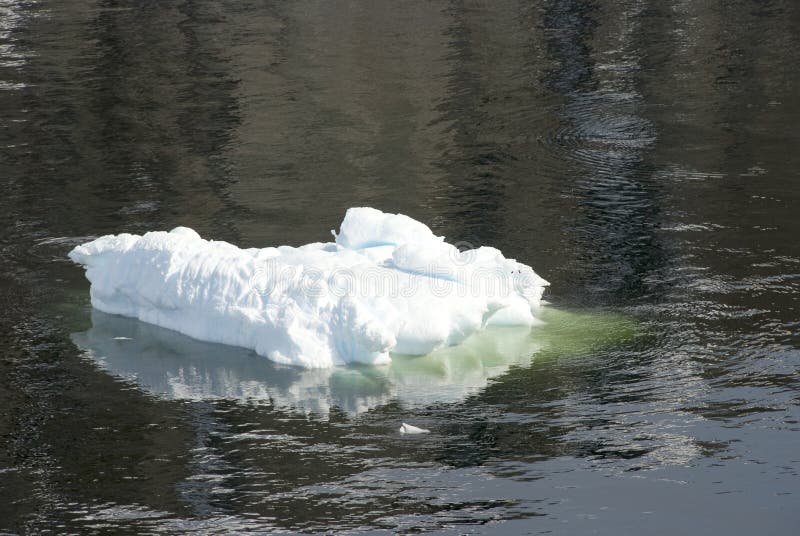 Antarctica - Floating Ice - Global Warming Stock Image - Image of ...