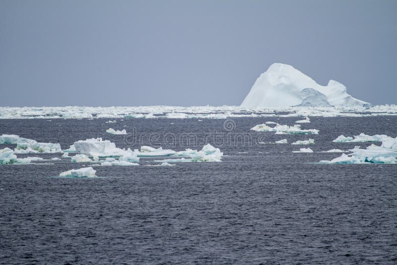 Antarctica - Floating Ice - Global Warming Stock Photo - Image of ...