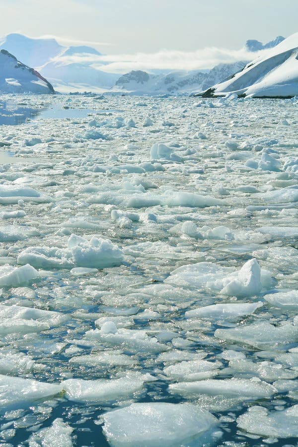 Antarctica and an Ice Floe Floating on Calm Water Stock Photo - Image ...