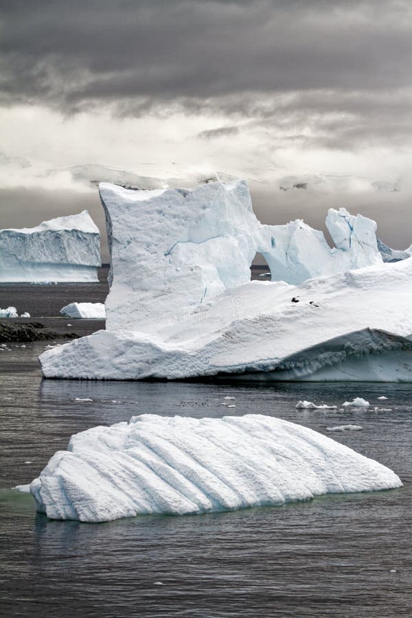 Antarctica - Pieces of Floating Ice - Global Warming Stock Image ...