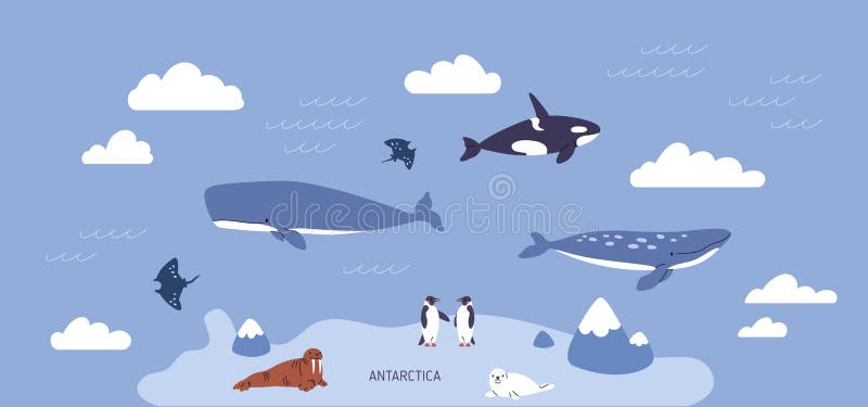 Antarctica, Polar Landscape. Antarctic Pole Fauna, Marine Animals in ... Antarctica, Polar Landscape. Antarctic Pole Fauna, Marine Animals in ...