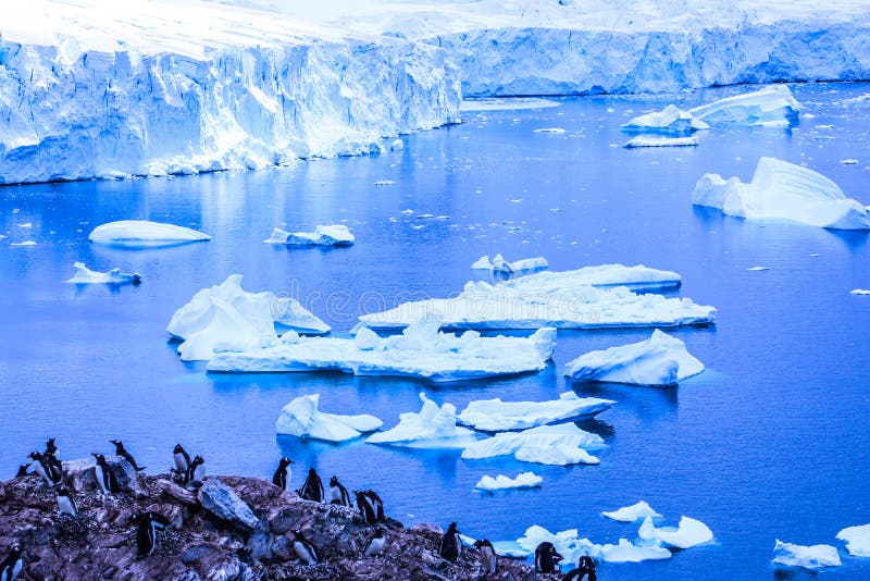 Antarctica in winter stock photo. Image of whale, january - 110038794