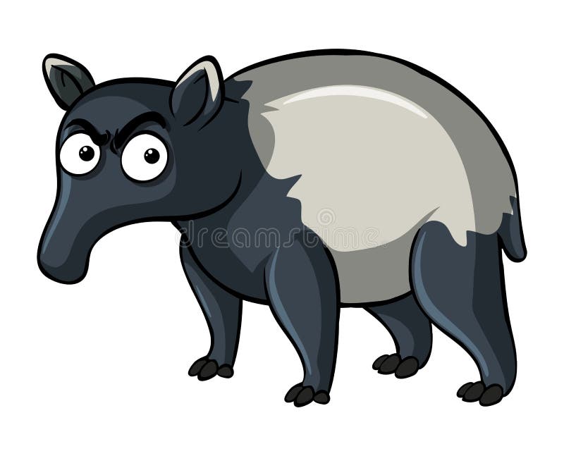 Anteater on White Background Stock Vector - Illustration of angry ...