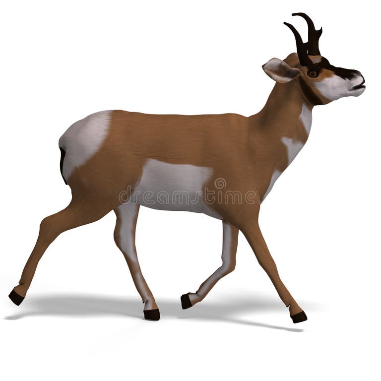 Running Antelope Stock Illustrations – 1,861 Running Antelope Stock ...