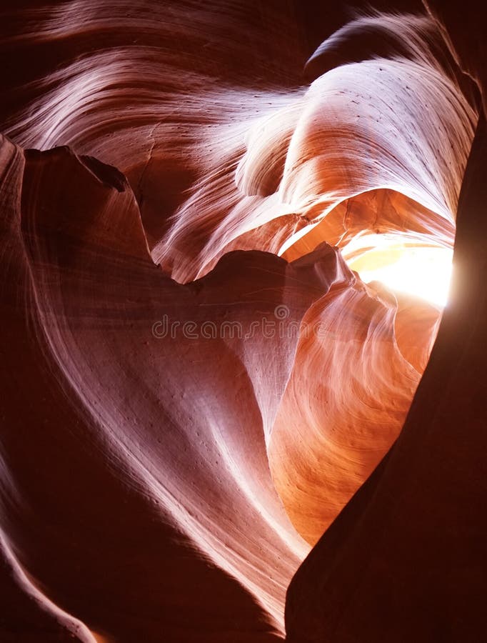 Antelope stock photo. Image of beauty, arizona, heart - 107479988