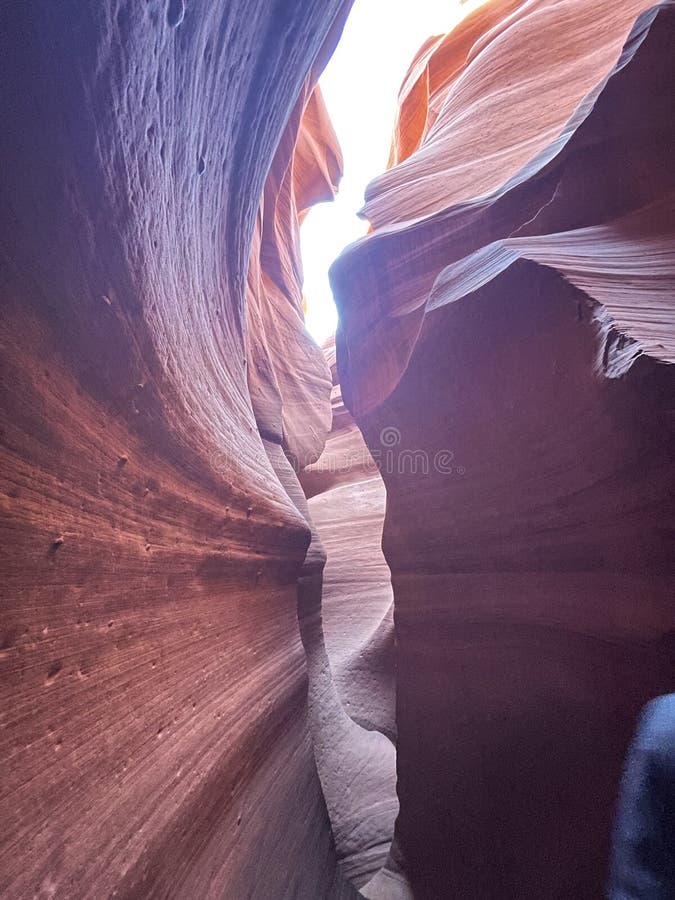 Antelope Canyon with Rocks and Sparse Vegetation in Arizona Stock Image ...