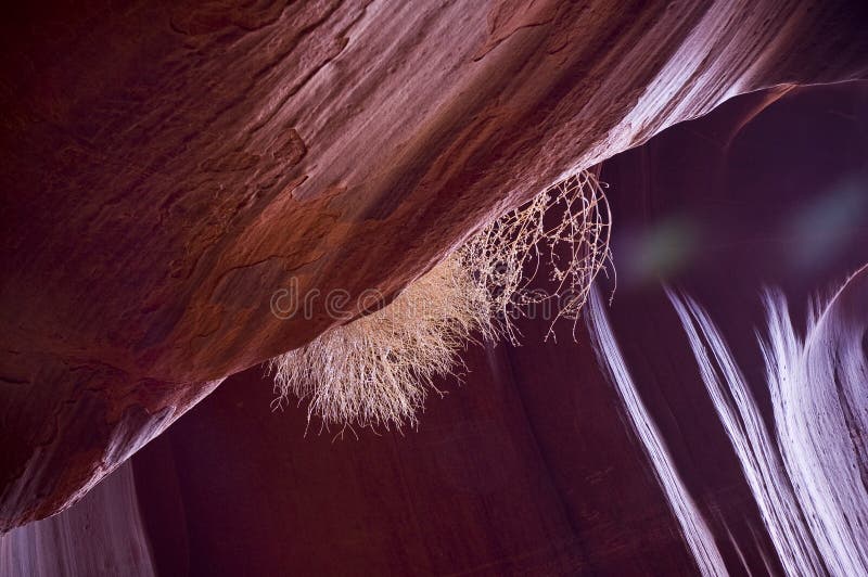 Antelope Canyon Wall Texture Stock Photo - Image of desert, sand: 7472560