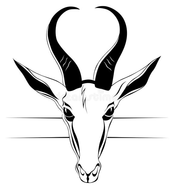 Springbok Head Stock Illustrations – 336 Springbok Head Stock ...