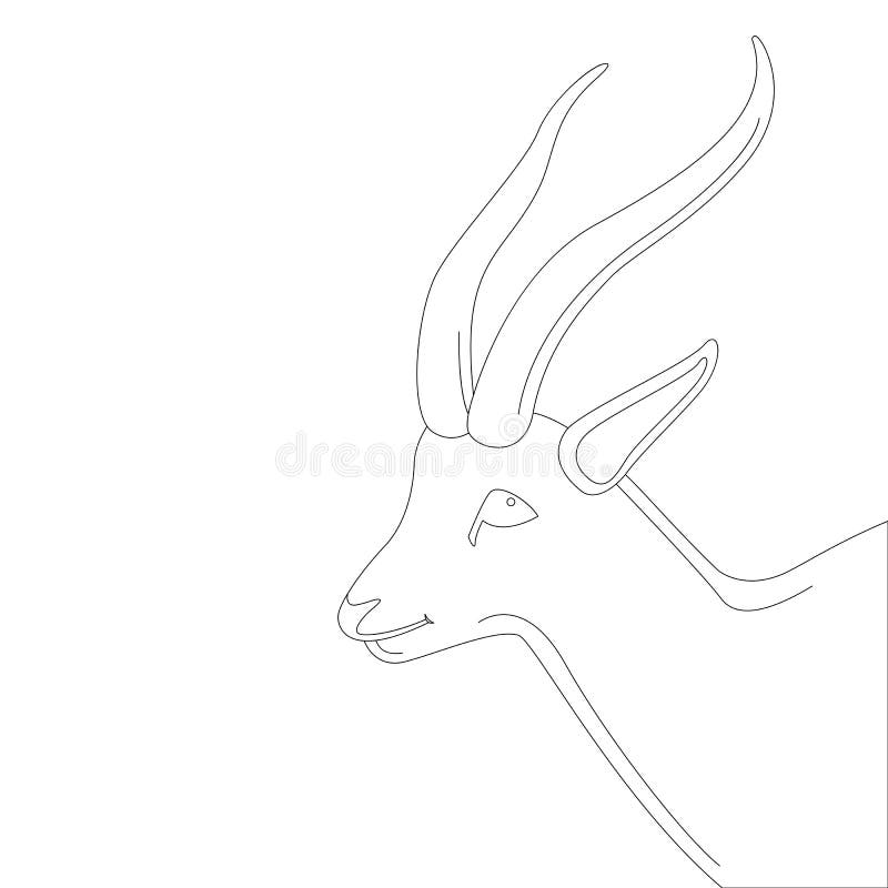 Antelope Face, Vector Illustration,lining Draw,front Stock Vector ...