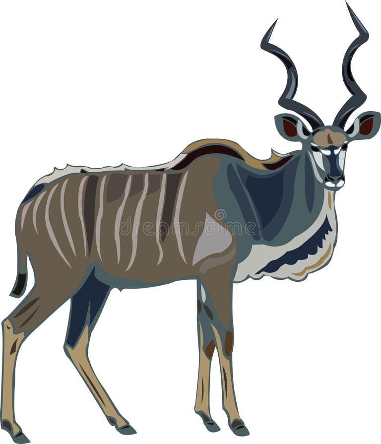 Kudu Stock Illustrations – 1,633 Kudu Stock Illustrations, Vectors ...