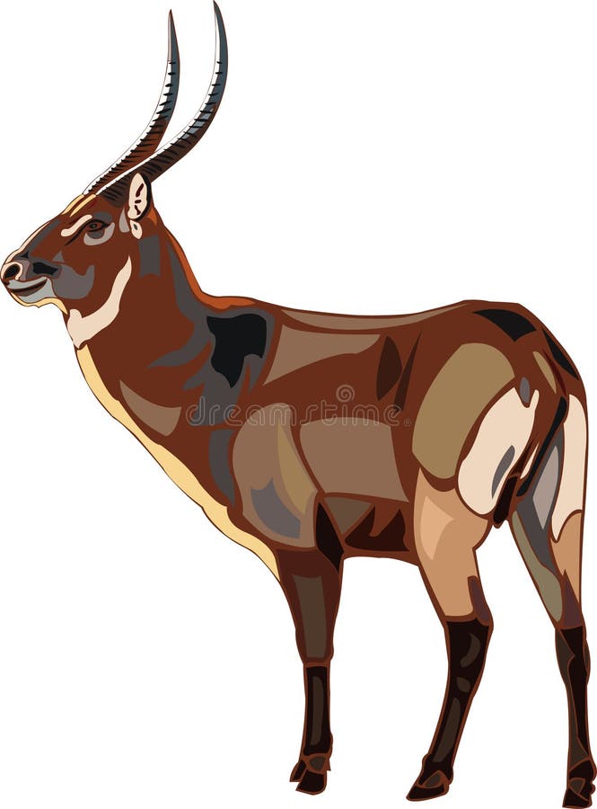 Antelope Series Greater Kudu Stock Vector - Illustration of kudu, hoof ...