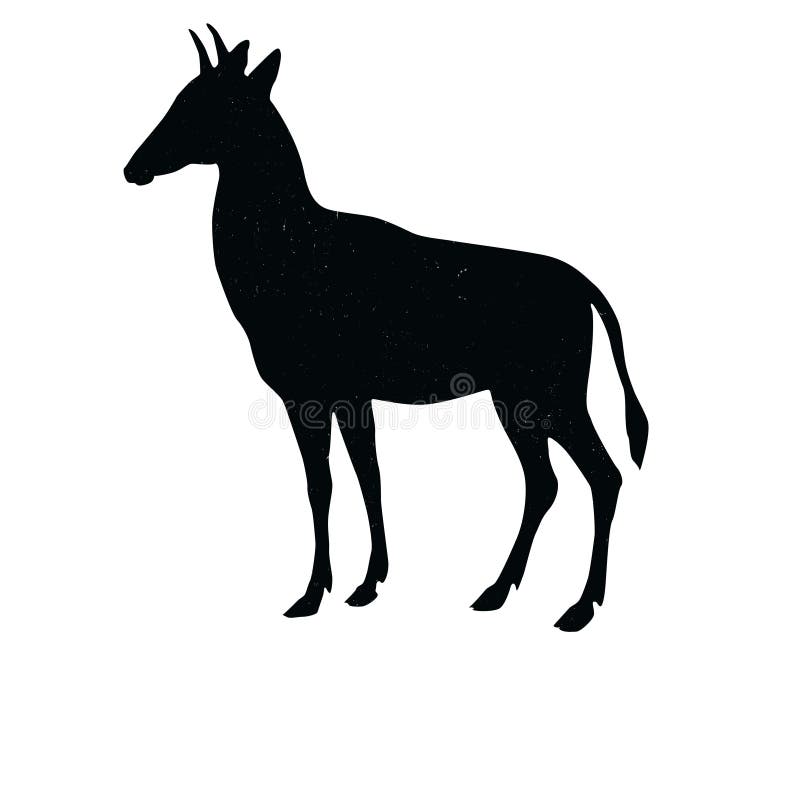 Antelope Silhouettes stock vector. Illustration of springbok - 32555015