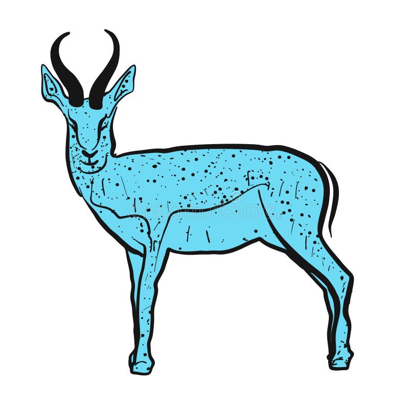 Springbok Stock Illustrations – 690 Springbok Stock Illustrations ...