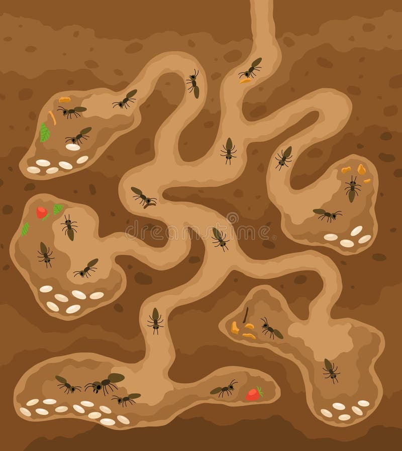Underground Ground Slice Vector Stock Illustrations – 288 Underground ...