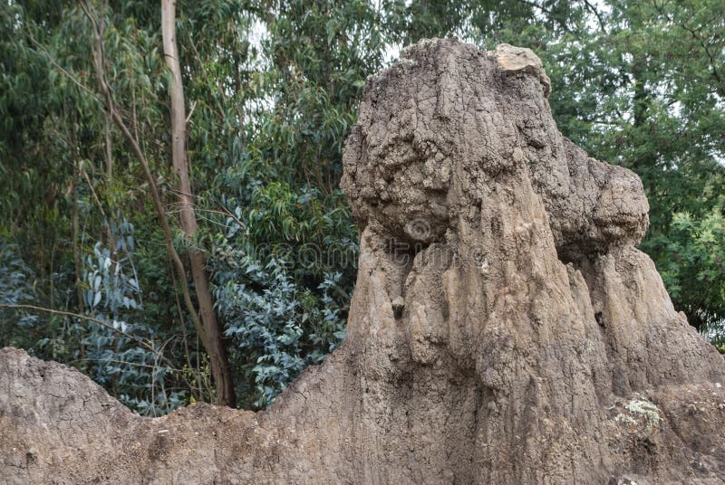 Anthill stock image. Image of sere, structure, terrain - 58724635