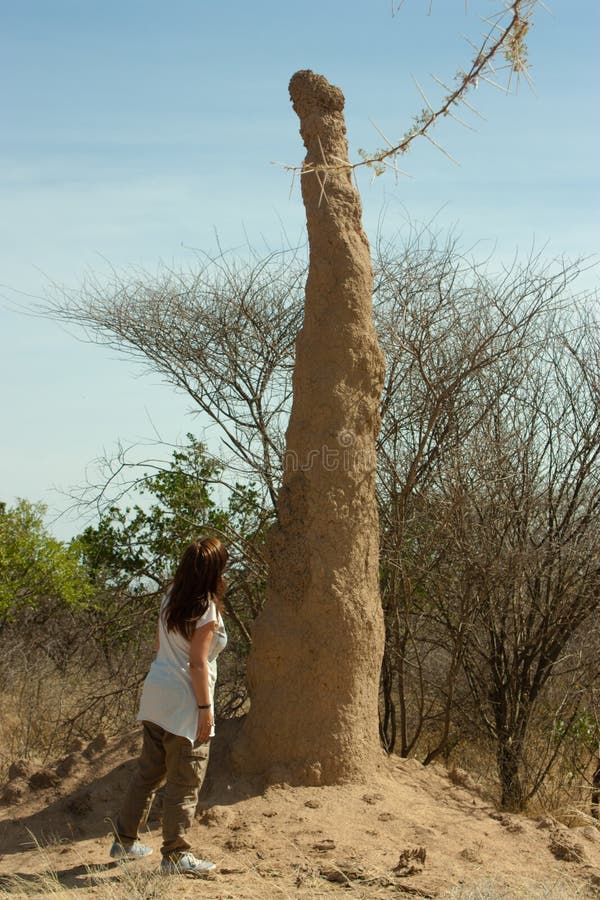 Anthill and Woman in Omo Valley, Ethiopia Stock Image - Image of ...