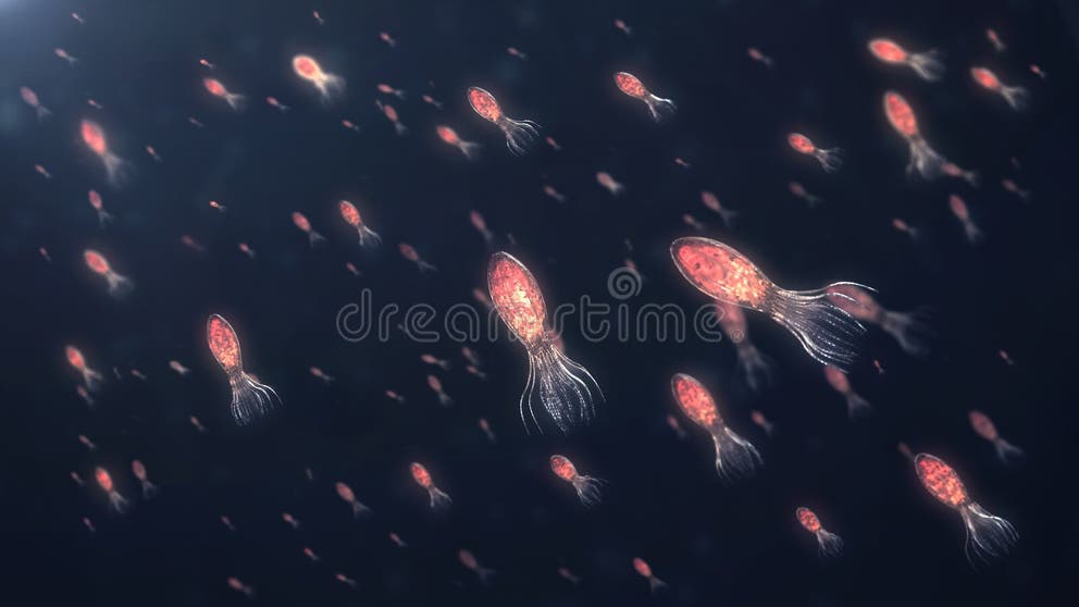 Fish Swarm Stock Illustrations – 1,133 Fish Swarm Stock Illustrations ...