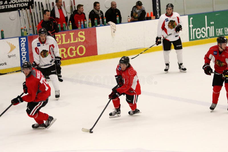 Anthony Louis redaktionelles bild. Bild von meister, haupt - 89780340