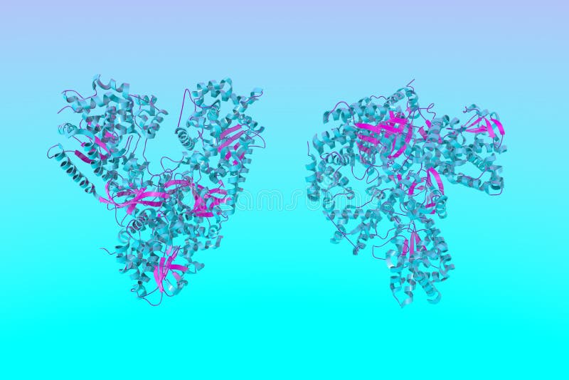 Anthrax Toxin Lethal Factor. Molecular and Crystal Structure of Anthrax ...