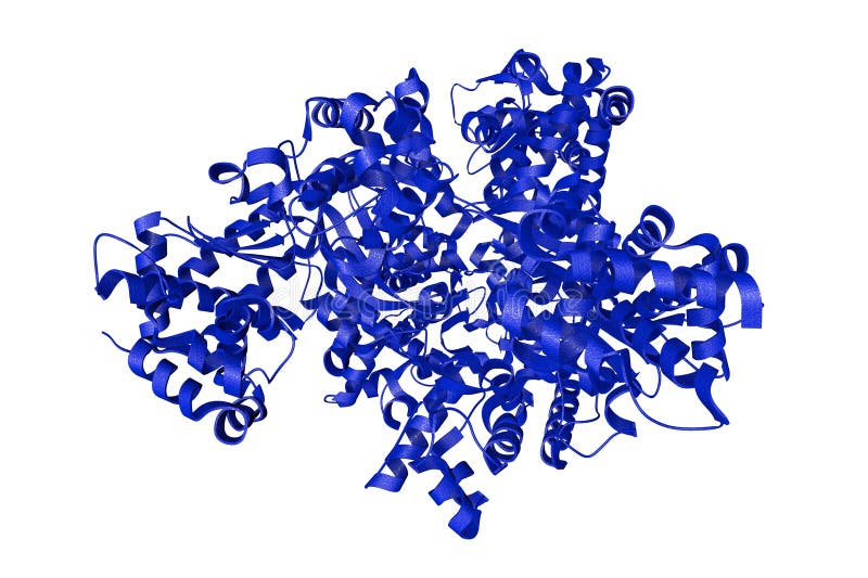 Anthrax Toxin Lethal Factor. Molecular and Crystal Structure of Anthrax ...