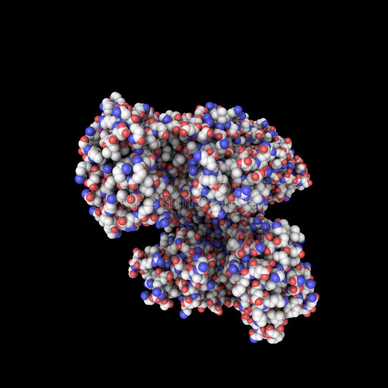 Anthrax Toxin Lethal Factor. Crystal Structure of Toxin Produced by ...