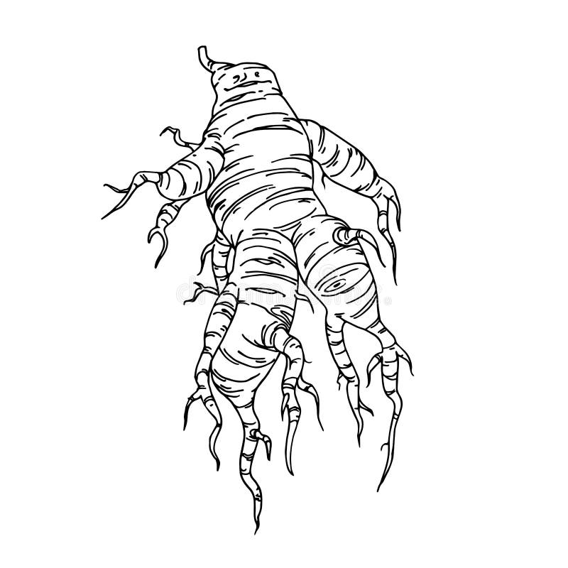 Vegetable Creature Stock Illustrations – 866 Vegetable Creature Stock ...