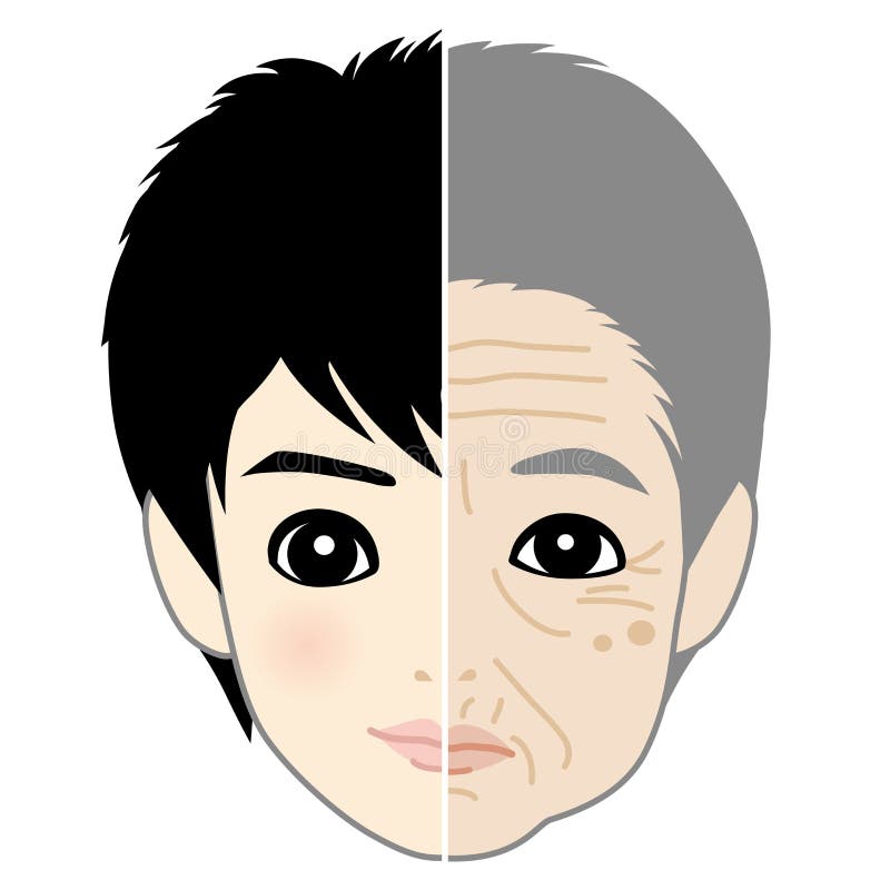 Aging of Skin. Young Man and Aged Man Stock Vector - Illustration of ...