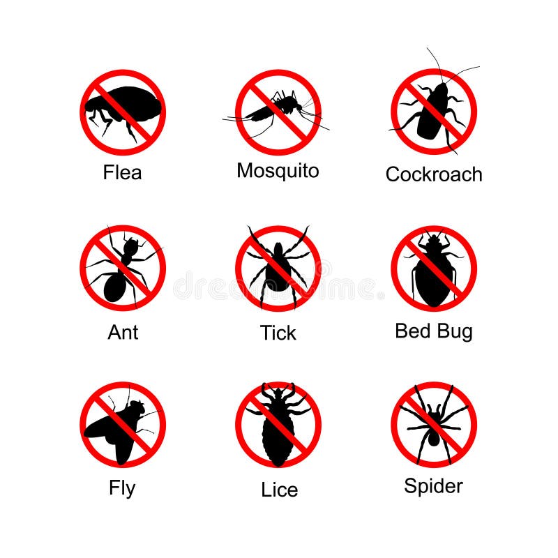 Anti Bugs Stock Illustrations – 488 Anti Bugs Stock Illustrations ...
