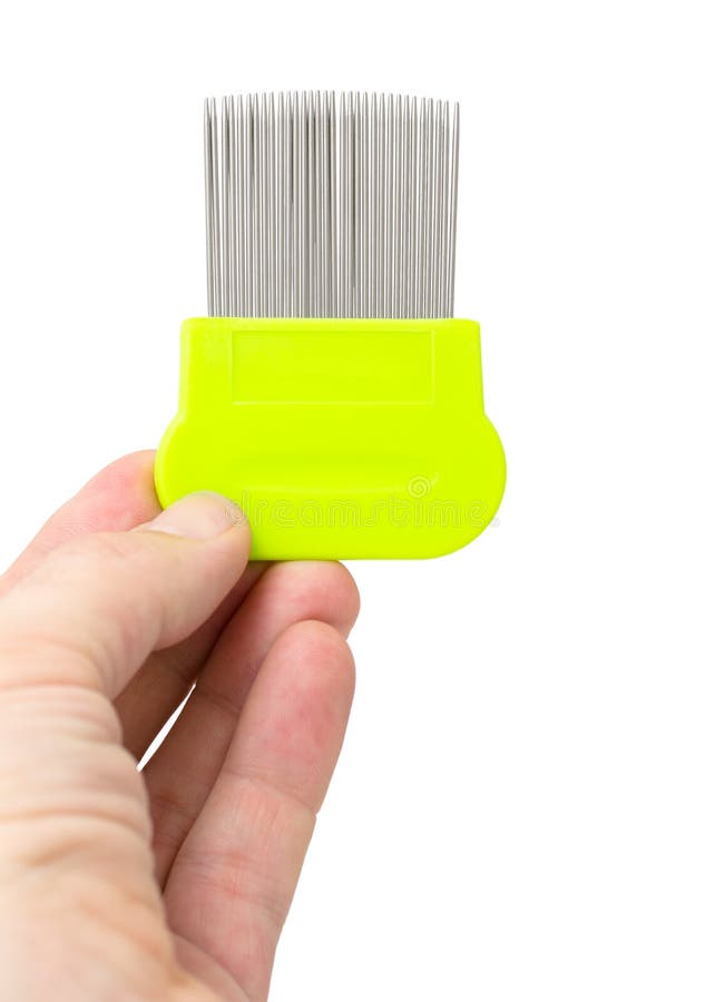Anti Lice Tooth Comb in Hand Stock Photo - Image of medicine ...