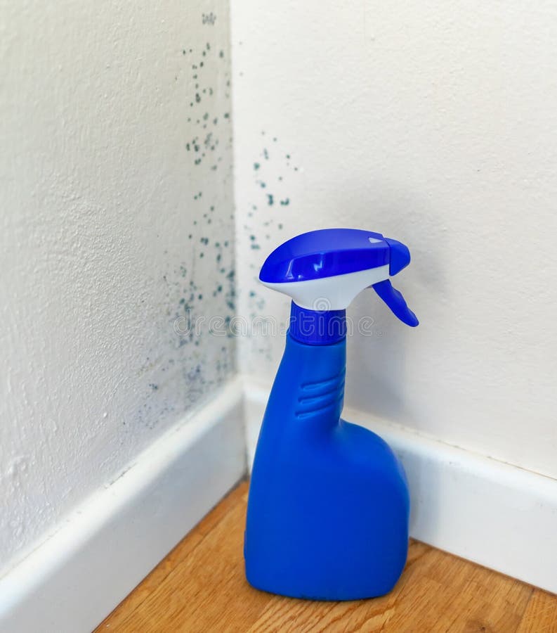 Anti-mould Spray for Mold Removal Stock Photo - Image of ...